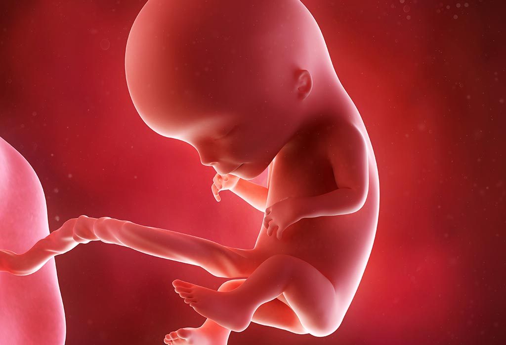 21 Unmissable Milestones In Pregnancy