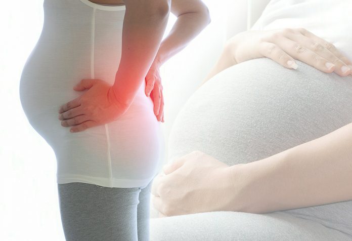 24 Weeks of Pregnancy: Symptoms, Ultrasound, & Belly Size