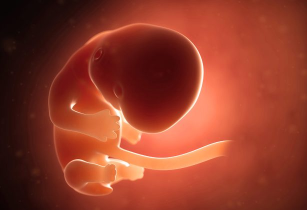 9 Weeks of Pregnancy: Symptoms, Ultrasound, & Belly Size