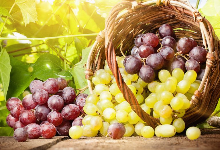 Baby Size Comparison with Fruits & Vegetables – Week by Week