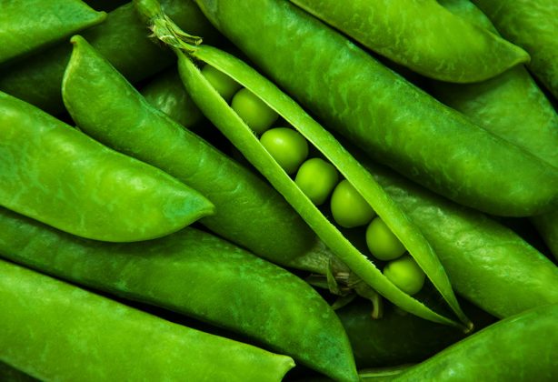 Baby Size Comparison with Fruits & Vegetables – Week by Week