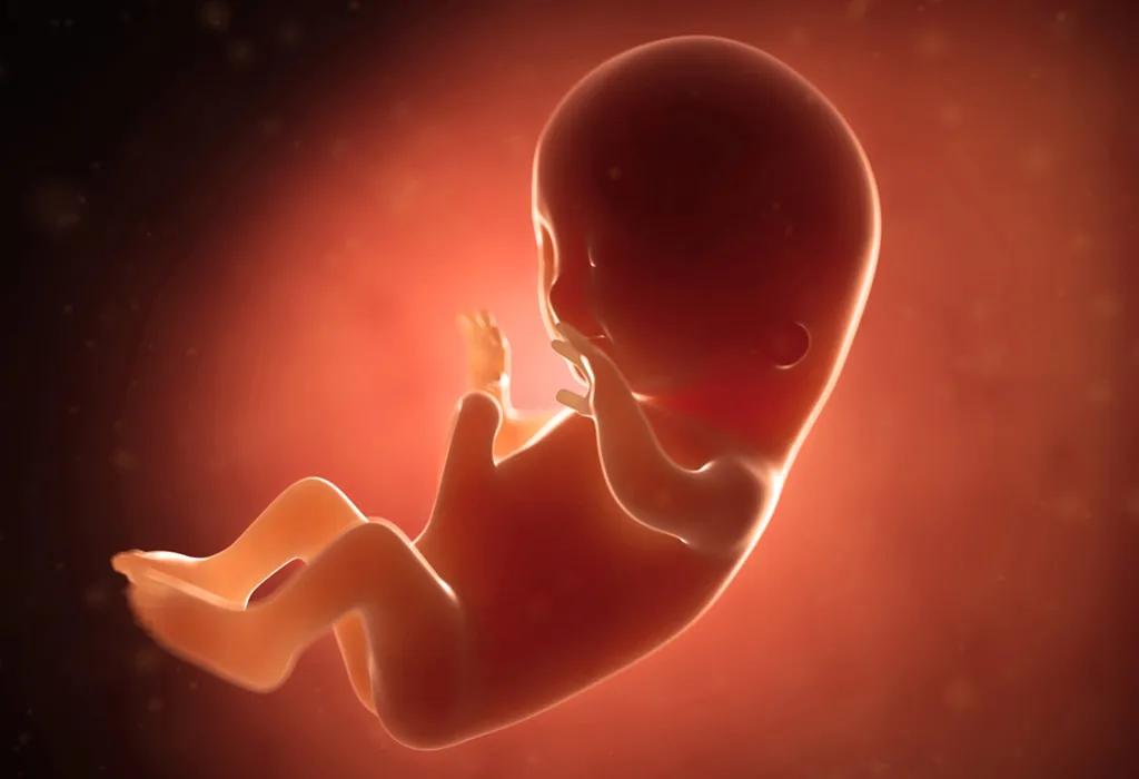 Brow Presentation – Reasons, Risks, Alternatives & More