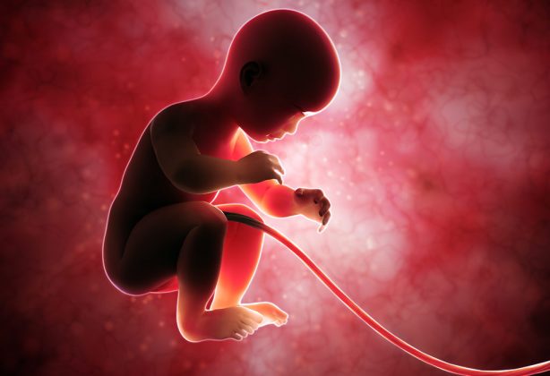 RELATED ARTICLES MORE FROM AUTHOR