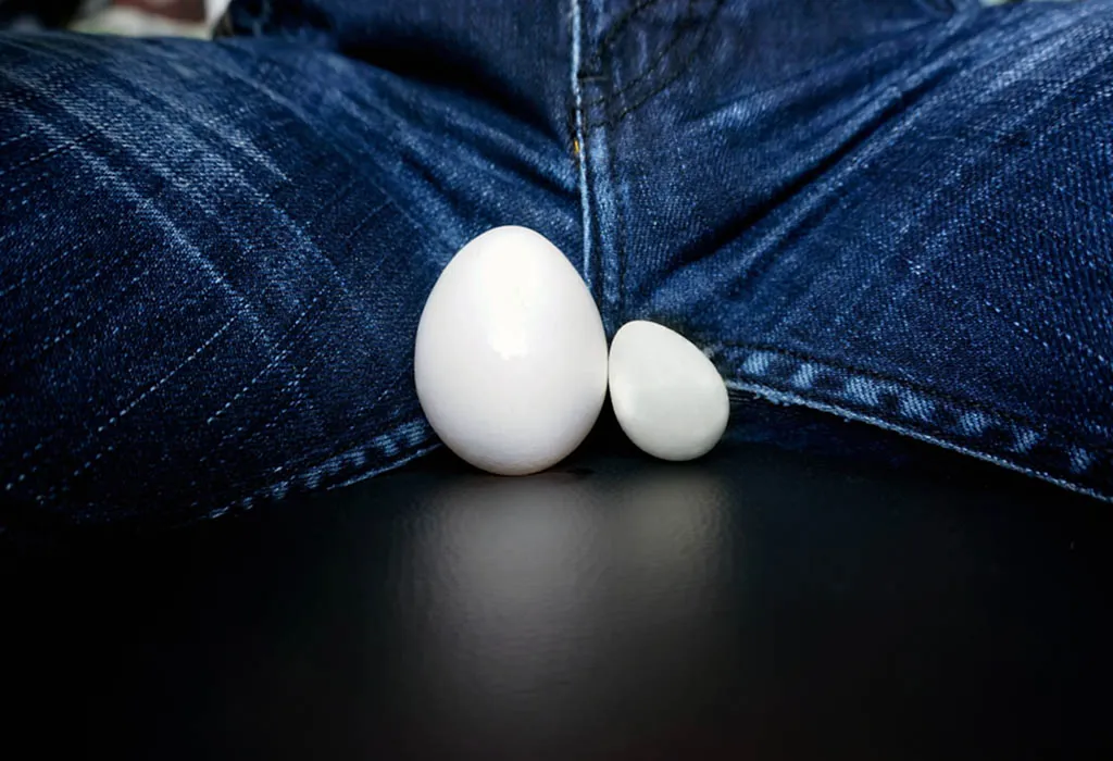 Normal Infant Testicles