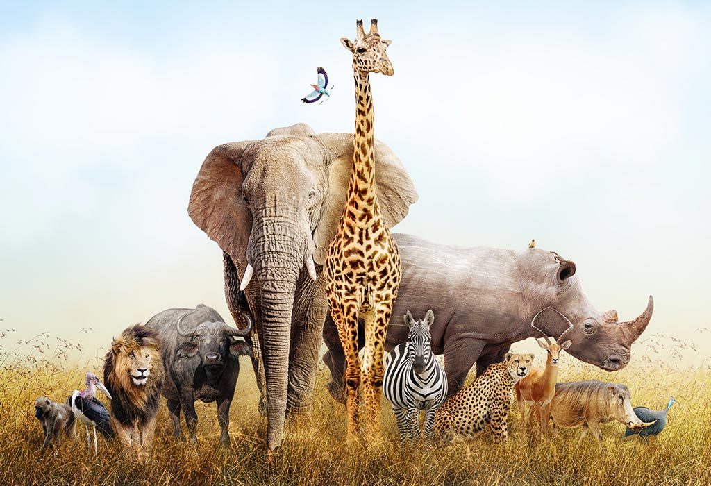 World Animal Day 2023 10 Fun Amazing Animal Facts For Children