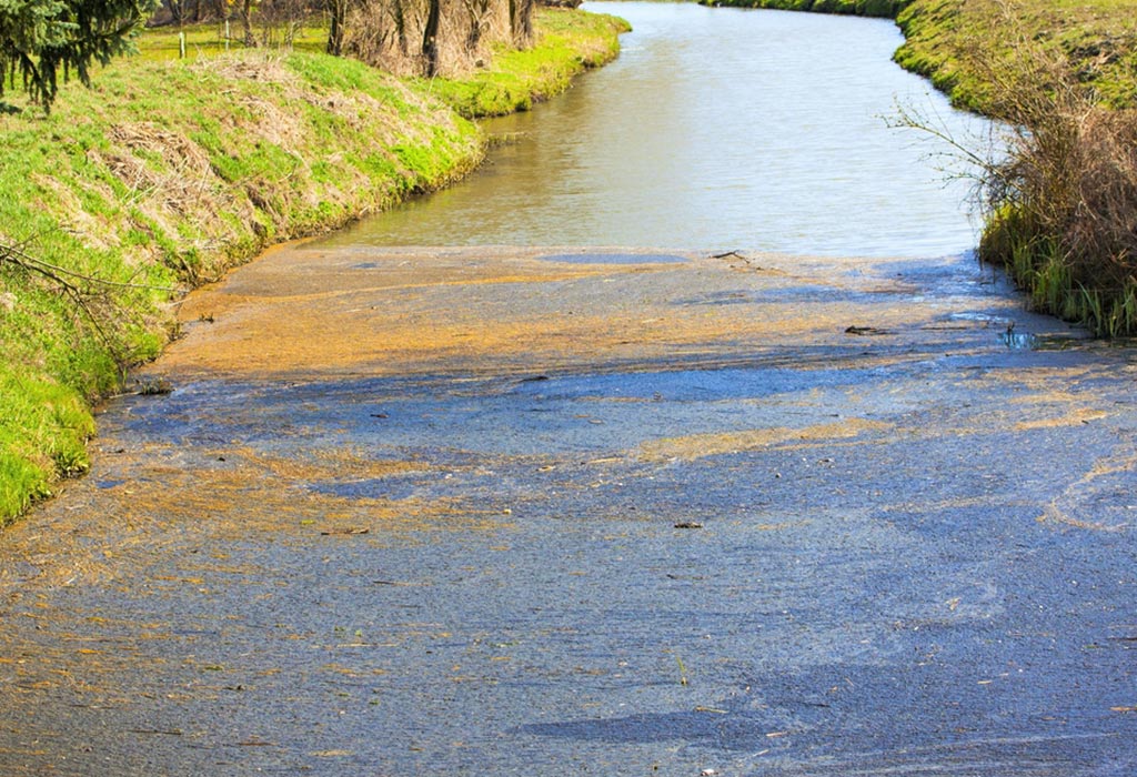 Water Pollution for Kids: Information and Facts to Know