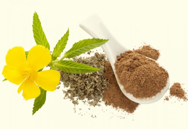 12 Fertility Herbs to Get Pregnant