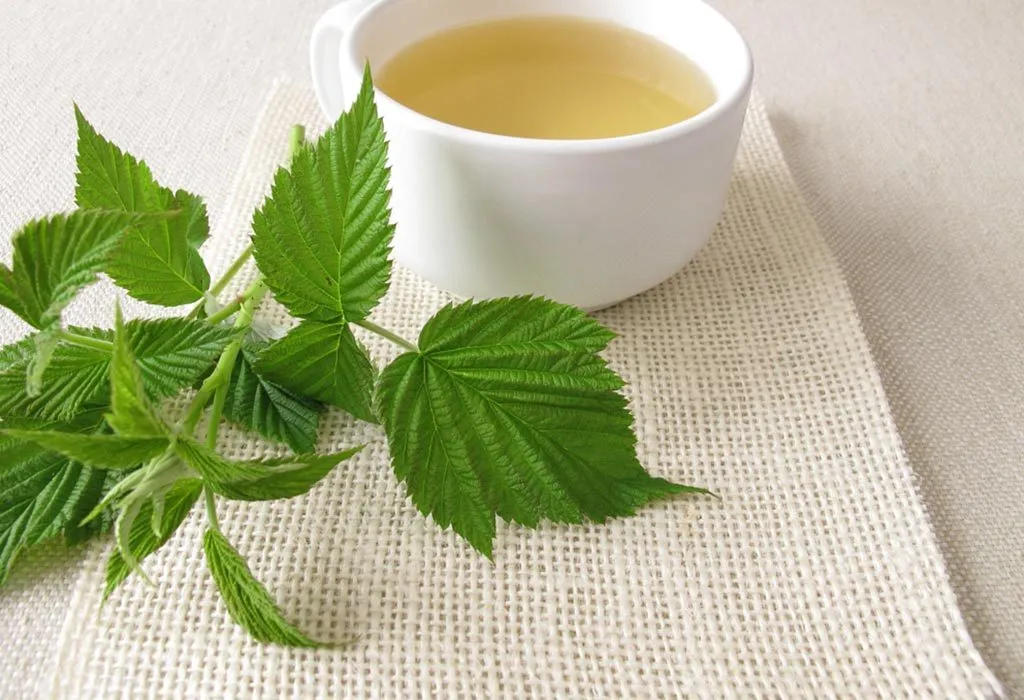 Raspberry Leaf Tea in Pregnancy: Benefits, Recipes and Side-effects