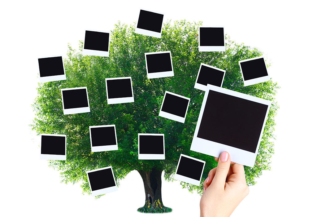 🎖 10 Easy Collage Making Ideas for Kids