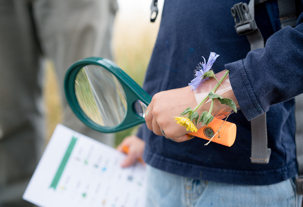 15 Fun and Interesting Park Games for Children