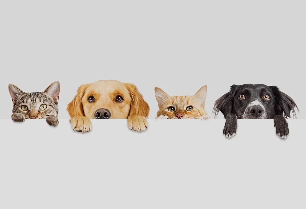 10 Most Popular Animal Movies for Kids