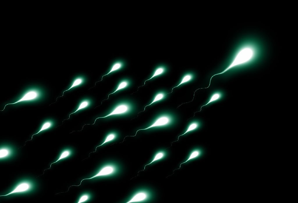 How To Increase Your Husband s Sperm Count Required For Pregnancy