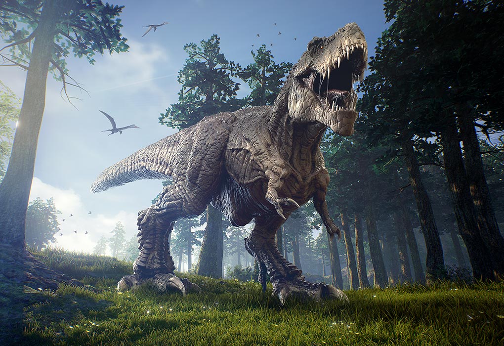 Facts Information About Dinosaurs For Kids