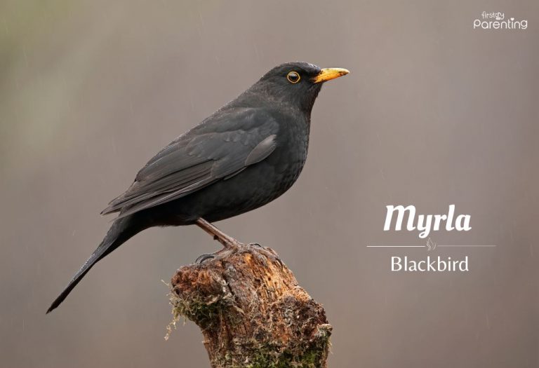 150+ Bird Names for Girls & Their Meanings