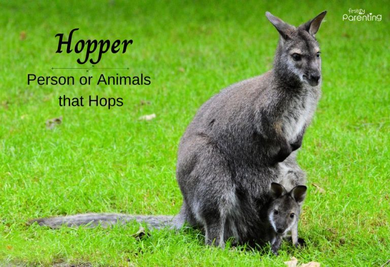 Top 100 Animal Inspired Baby Girl & Boy Names With Meanings