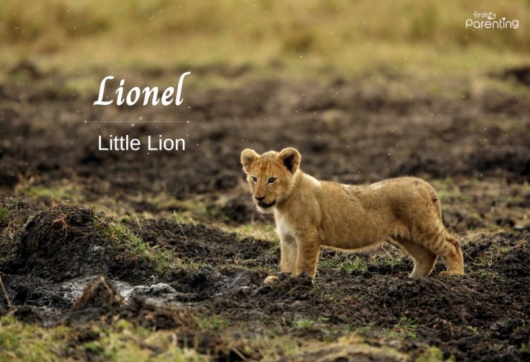 Top 100 Animal Inspired Baby Girl & Boy Names With Meanings