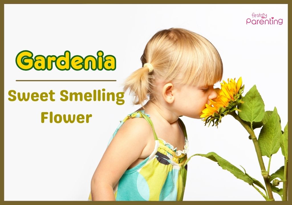 100+ Jamaican Girl Names With Meanings