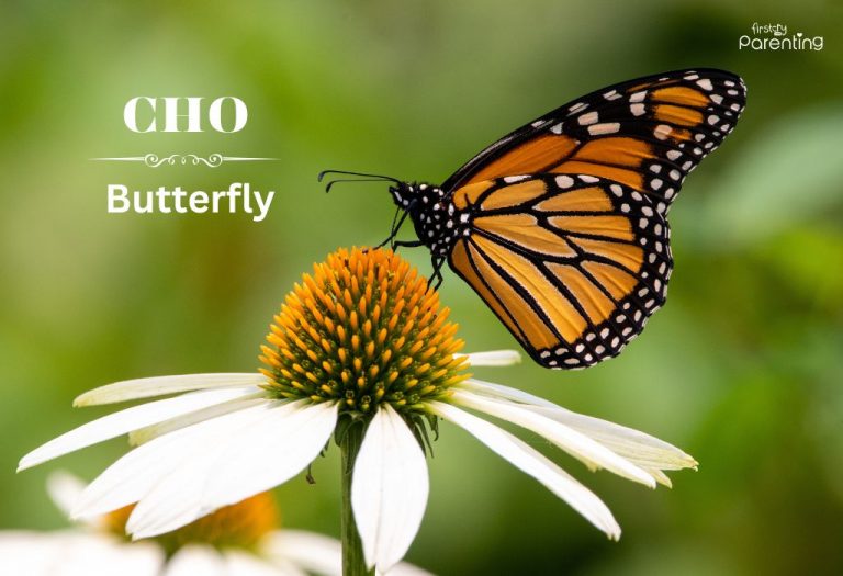 Top 110 Asian Boy Names With Meanings