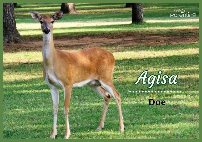 140+ Native American Girl Names With Meanings