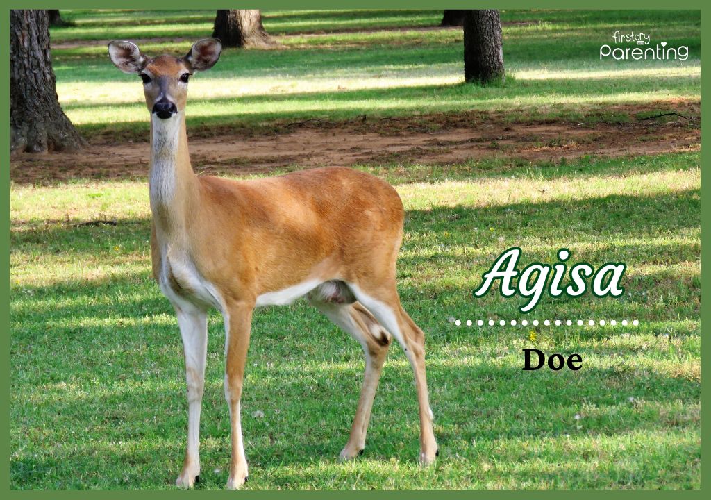 140+ Native American Girl Names With Meanings