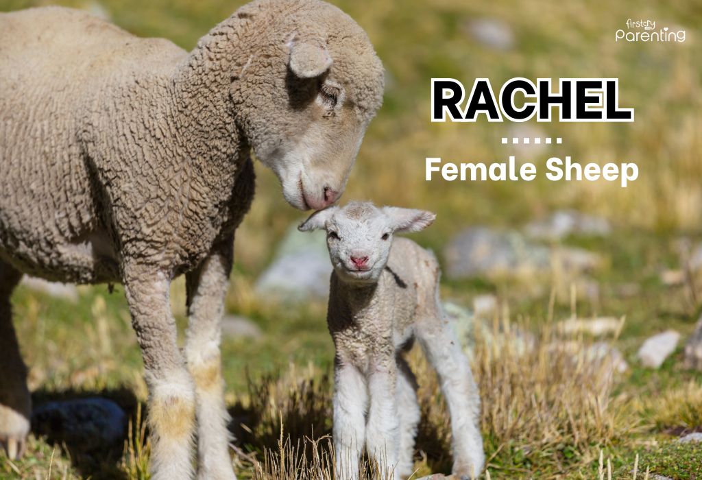 140+ Amish Boy & Girl Names With Meanings