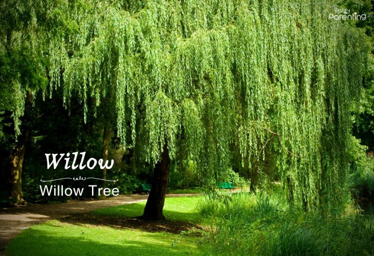 Top 110 Girly Names For Baby Girl With Meanings