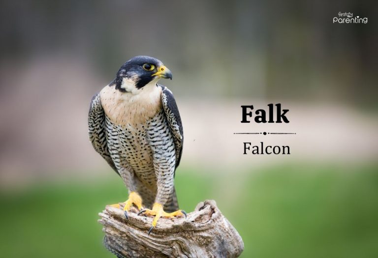 Top 190 German Boy Names With Meanings