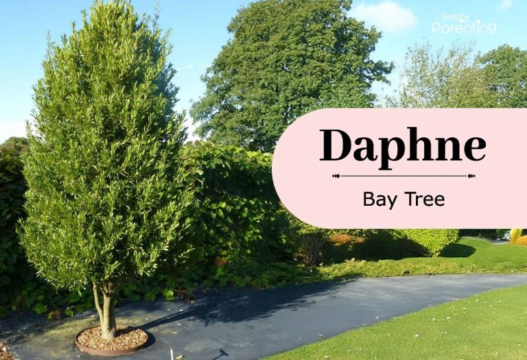 200 Tree Baby Names for Girls & Boys With Meanings