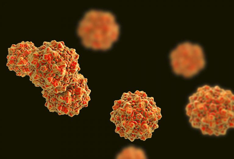 Viral Rash in Infants: Types, Diagnosis & Treatment