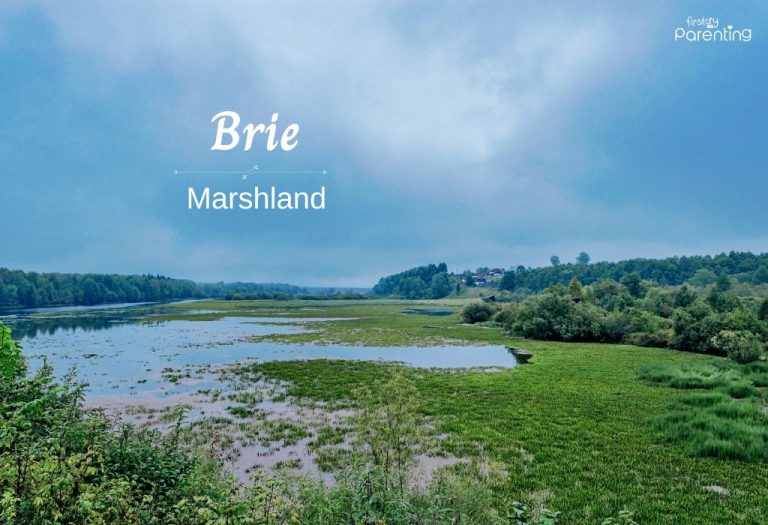 Top 55 Girl Names Starting With Bri