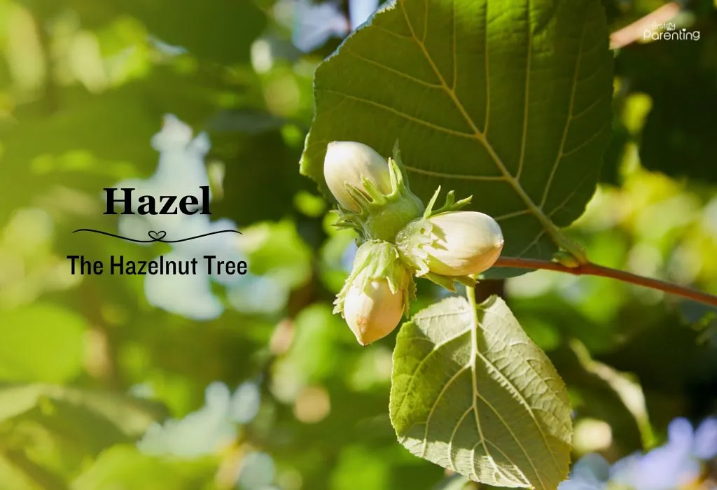 Top 135 Sassy Girl Names With Meanings