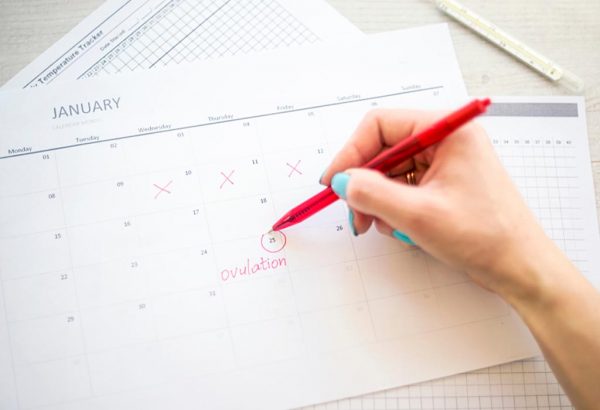 Shettles Method: Accuracy & Success Rate