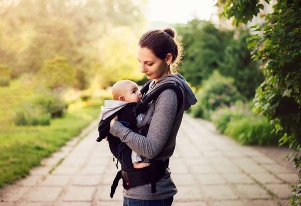 2. Soft Structured Carrier