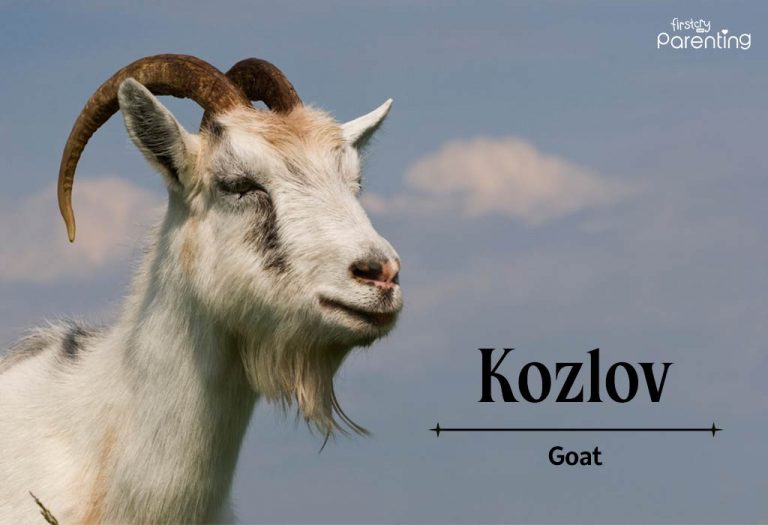 Top 150 Russian Last Names or Surnames