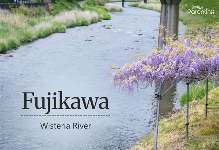 Top 150 Japanese Last Names or Family Names With Meanings