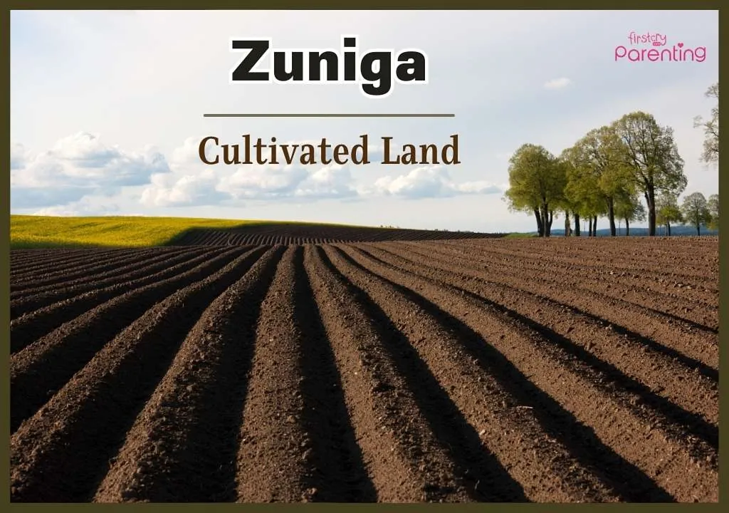 110 Popular & Common Mexican Last Names or Surnames