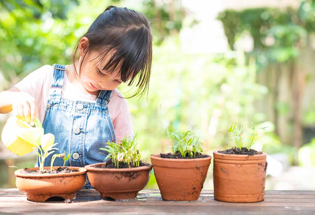 Interesting Information Facts About Parts Of A Plant For Children