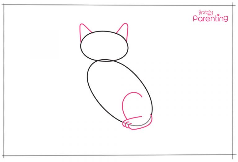 How to Draw a Cat - A Step By Step Guide With Pictures