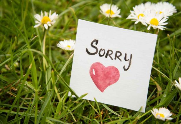 50+ Best Sorry Quotes and Messages