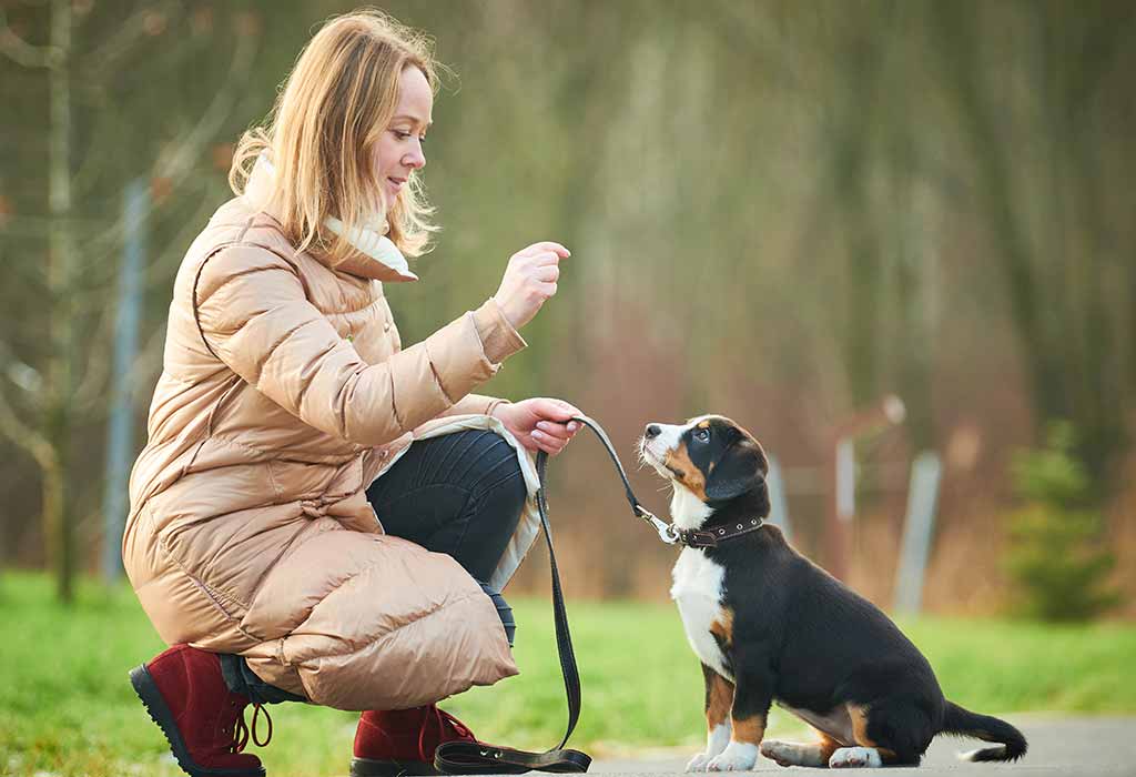 20 Basic And Essential Dog Commands You Should Teach Your Pup