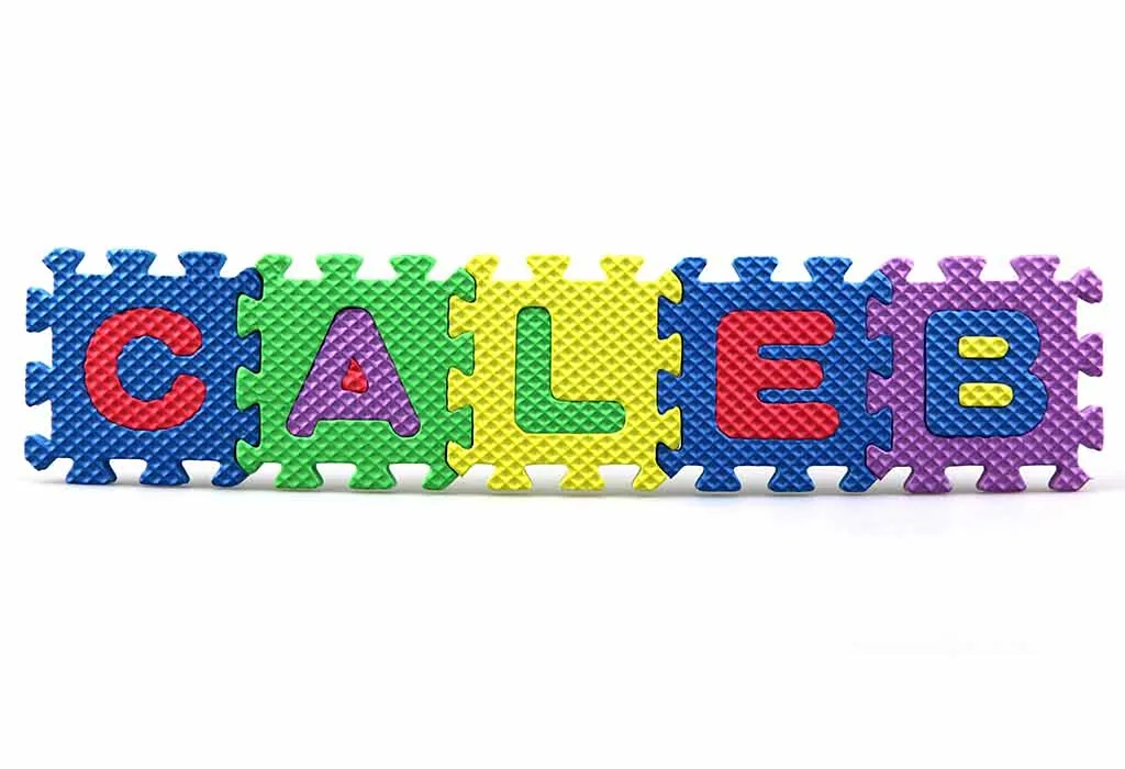 Does The Name Caleb Mean Dog