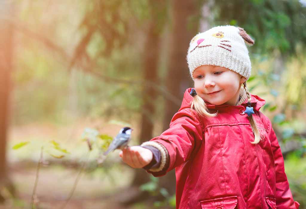 15 Best Bird Poems For Children