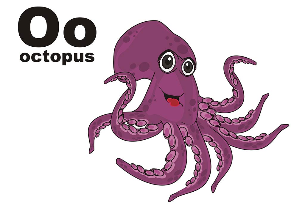 Animal Names that Start With O (Pictures & Facts)