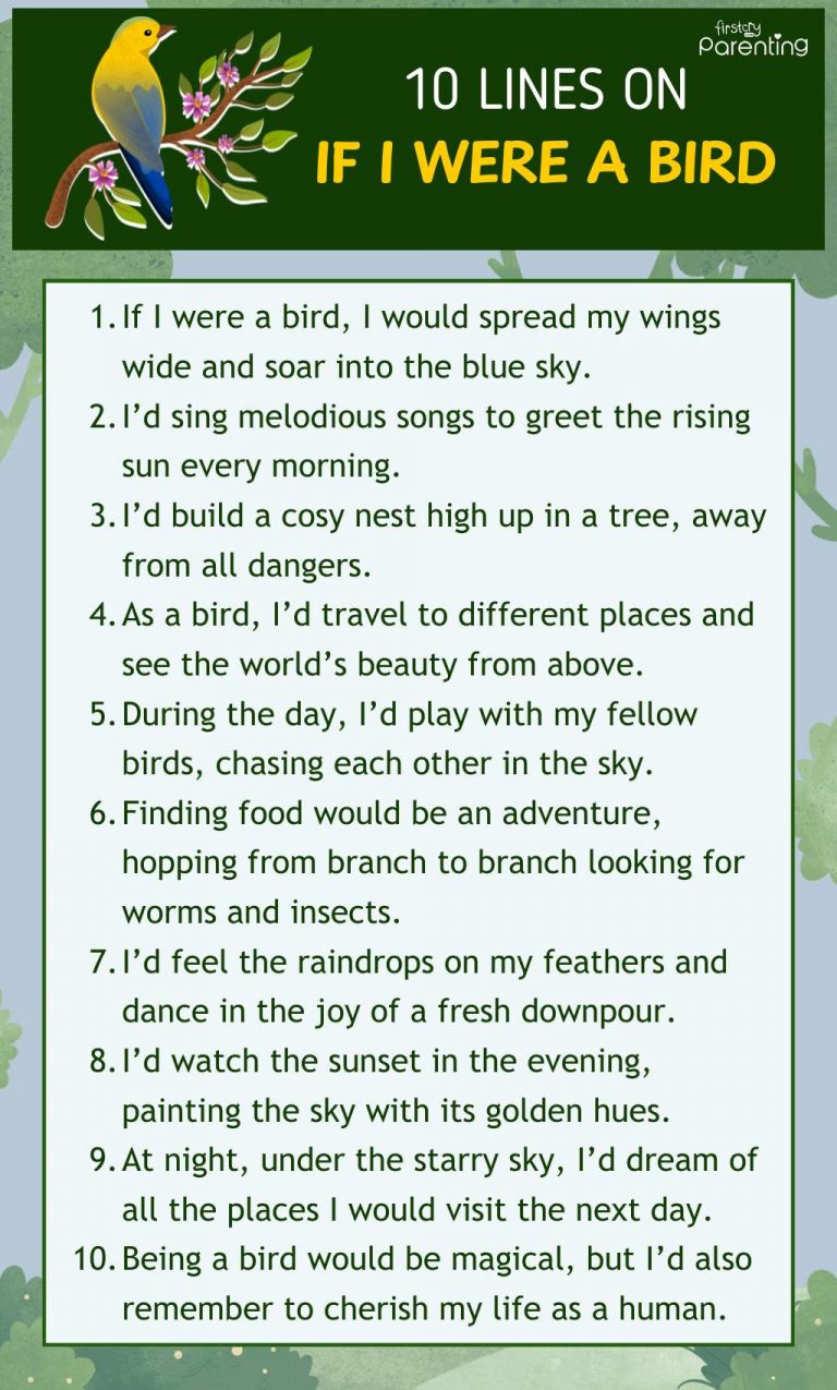 Essay On If I Were a Bird - Short and Long Essay for Children and Students