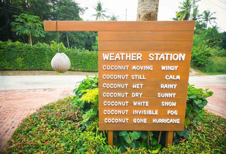 30 Creative Weather Crafts for Toddlers, Preschoolers, and Kids