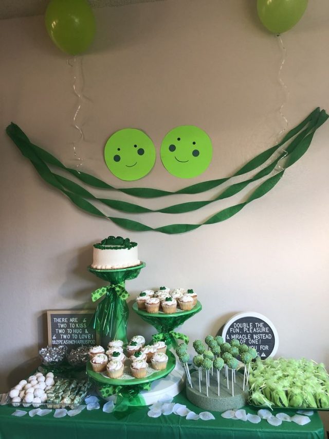 Amazing Twin Birthday Party Theme Ideas to Make Them Feel Loved