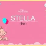 Scott Name Meaning, Origin, Popularity & Nicknames