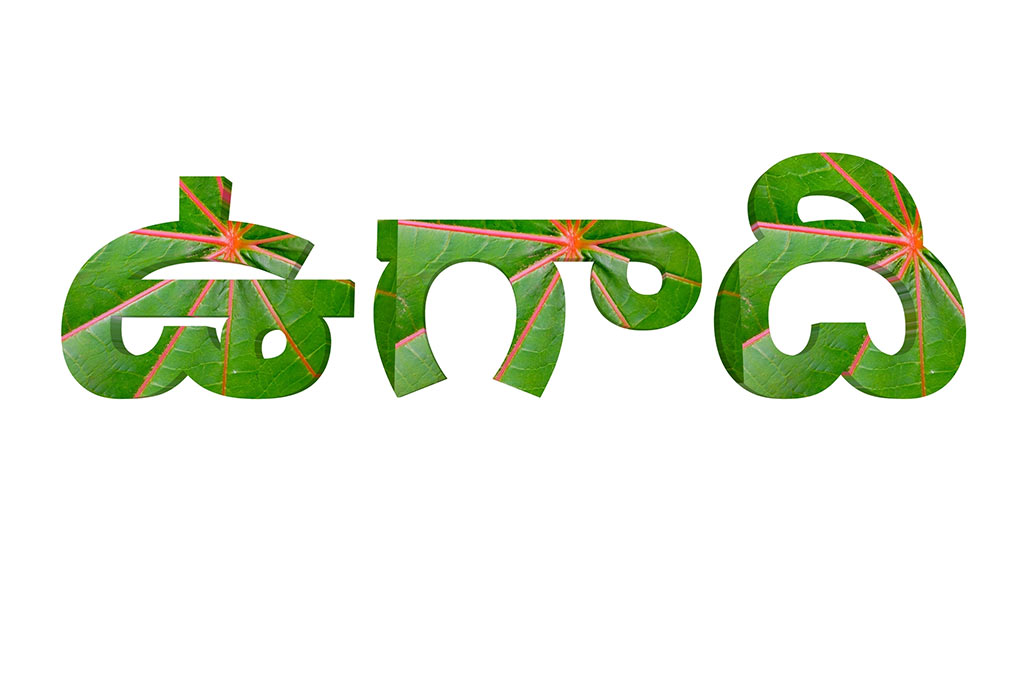 100 Beautiful Baby Girl Names in Telugu with Meanings