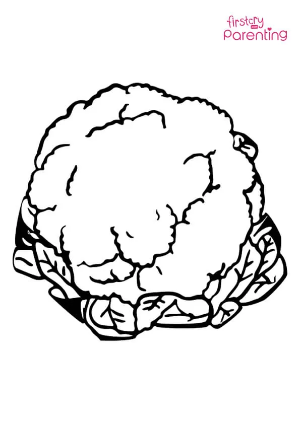 Easy Printable Cauliflower Coloring Pages for Kids