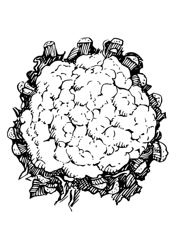 Free Vegetables Coloring Printable Pages and Worksheets for Kids